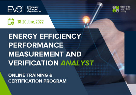 Alliance for an Energy Efficient Economy I AEEE