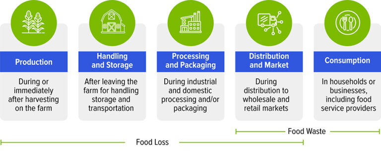 Addressing Food Loss and Waste: Key to Safeguarding India's Food ...